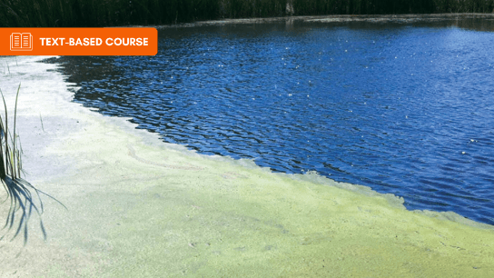 Guide to Embankment and Excavation Pond Systems | CPD Engineers by ...